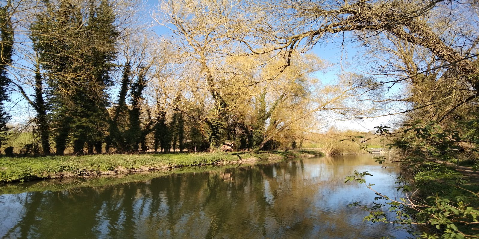 Paddle Boarding Byrons Pool Cambridge - Paddle Boards Up!